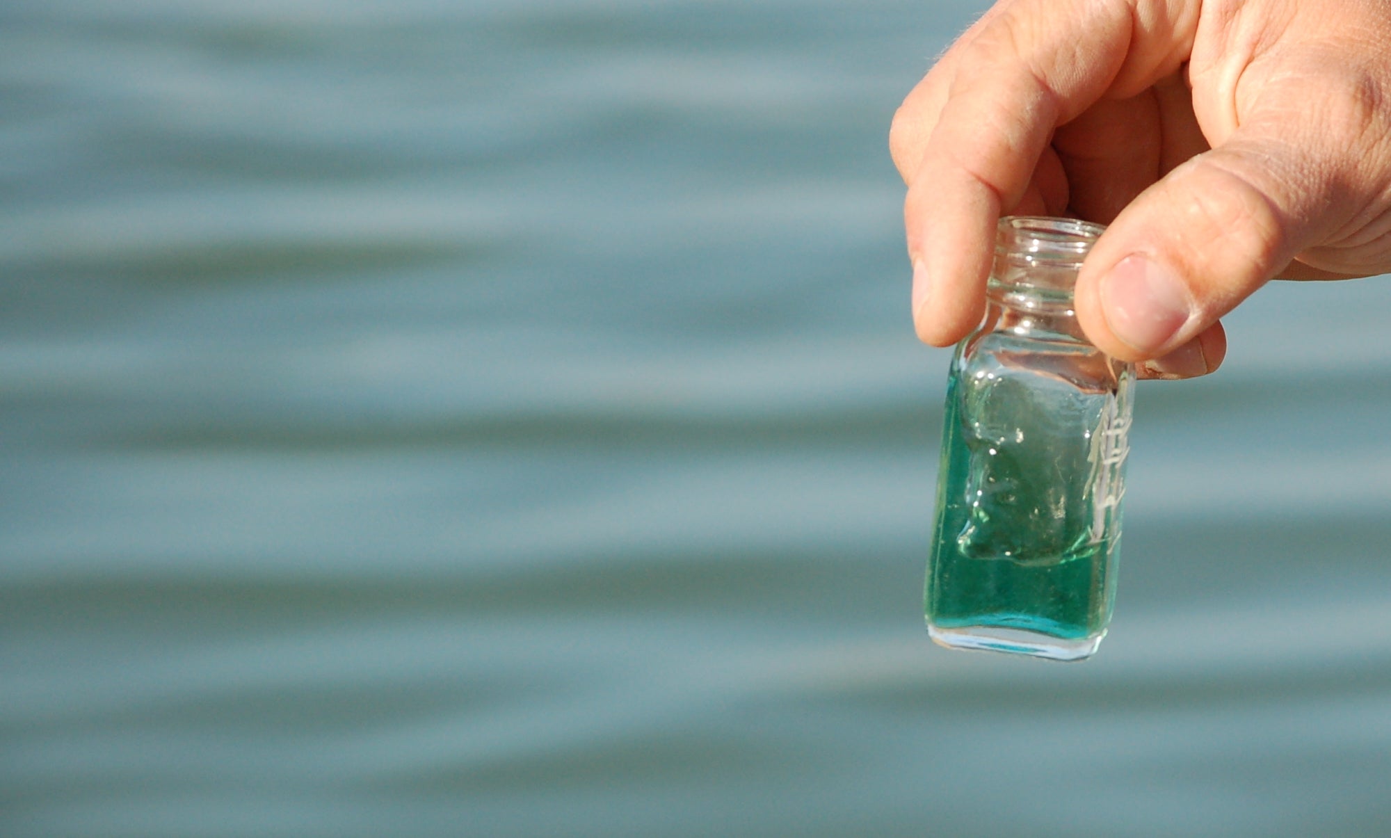 Pond Maintenance | Pond Treatment Products | Pond King